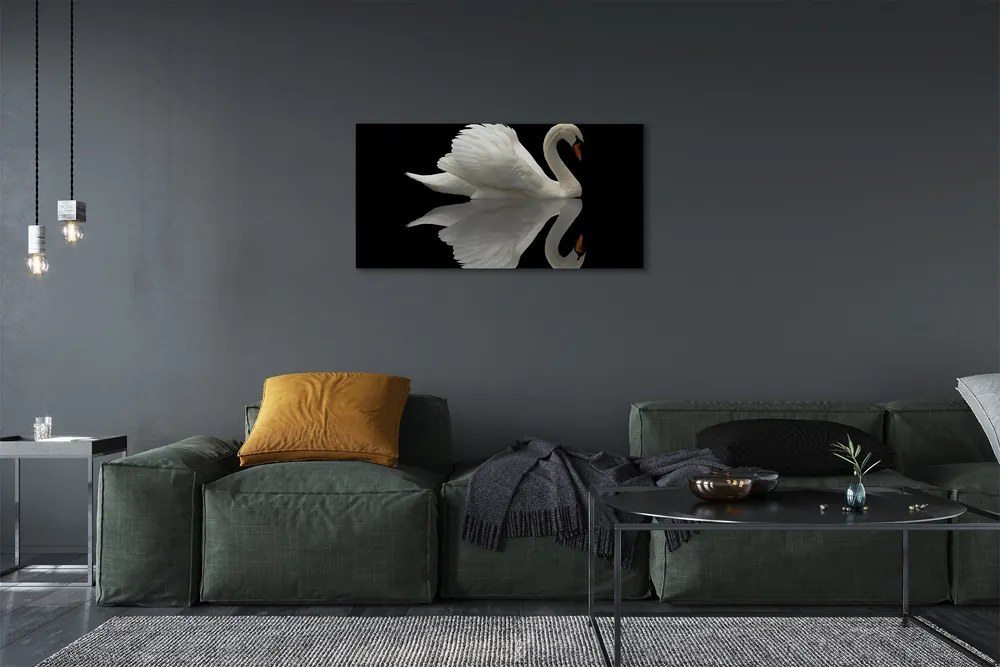 Obrazy na plátně Swan v noci 140x70 cm