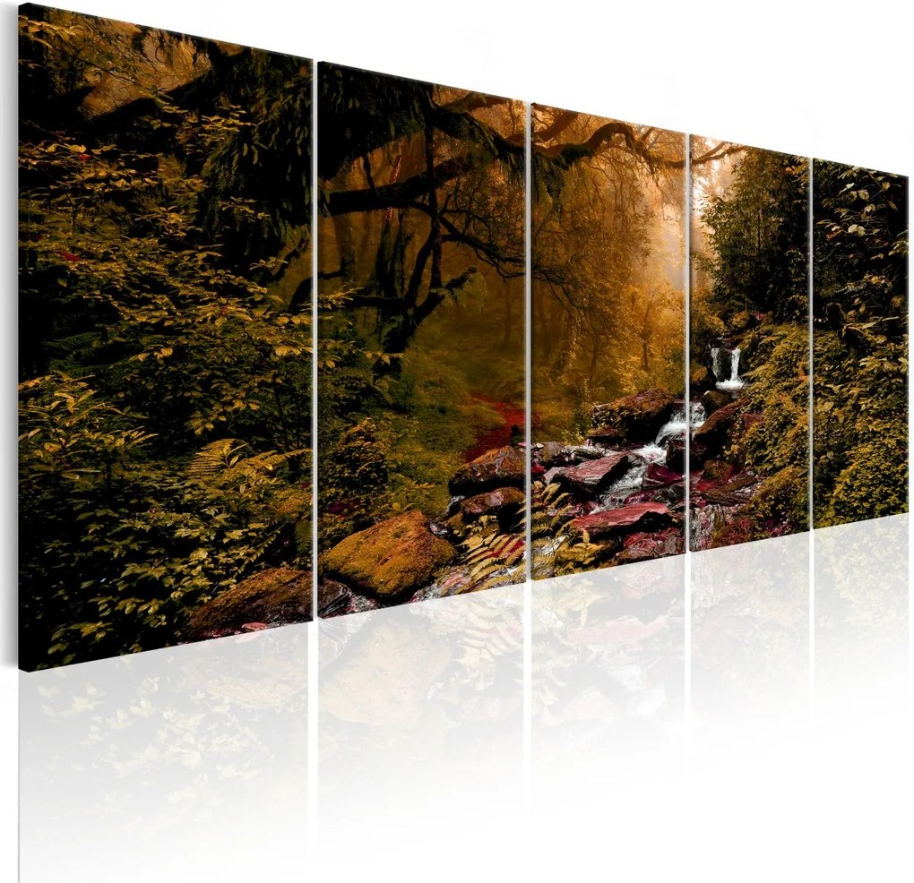Obraz Lesní potok Orange + háčky a hřebíčky ZDARMA Velikost (šířka x výška): 200x80 cm