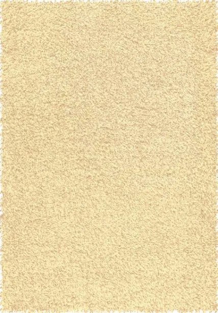Spoltex | Kusový koberec EXPO SHAGGY 5699/366 160x230cm - 160x230 (cena za ks)