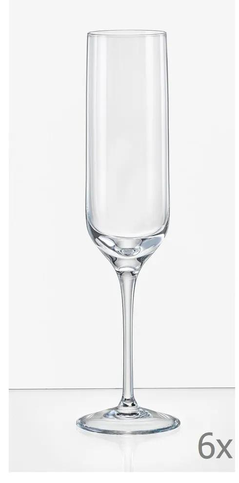 Sada 6 sklenic na šampaňské Crystalex Uma, 200 ml