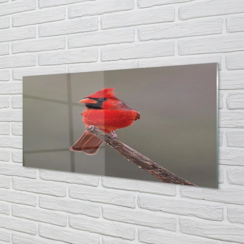 Obraz na skle Red papoušek na větvi 120x60 cm