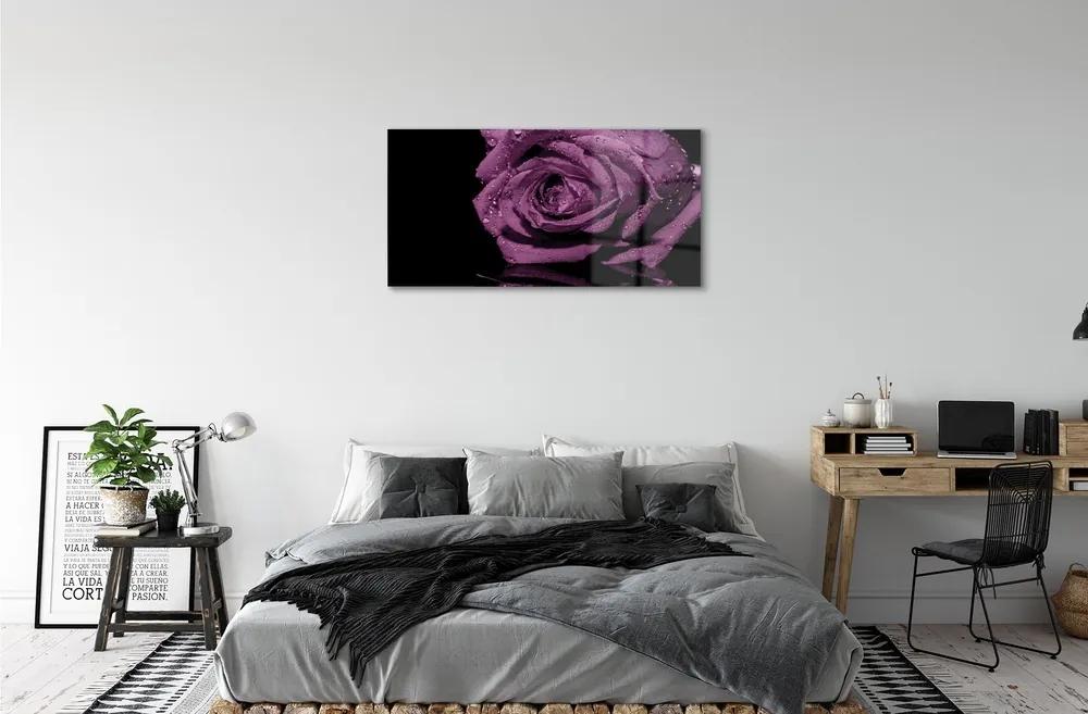 Obraz na skle Purpurová růže 125x50 cm