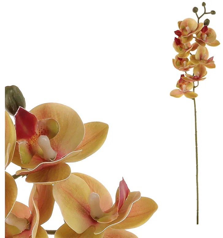 Orchidej KUM3417 PINK-DK- barva tmavě růžová