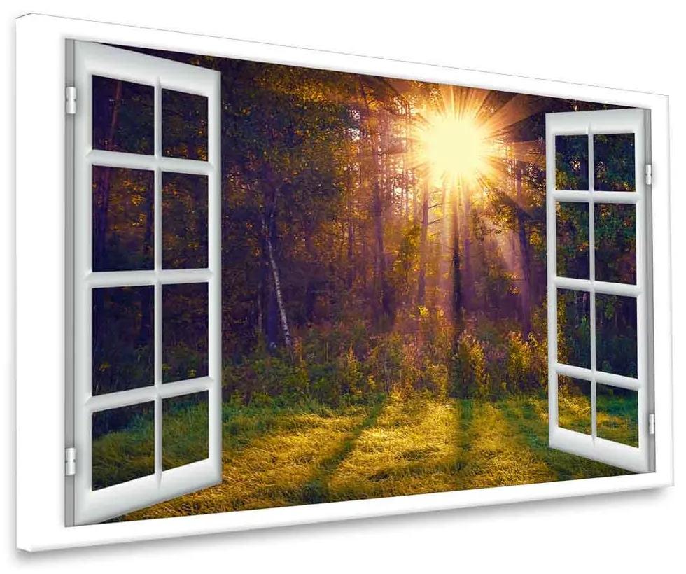 3D obraz ráno v okně Velikost (šířka x výška): 90x70 cm