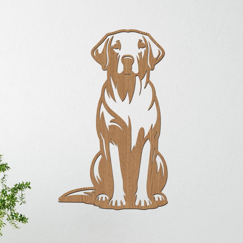 dřevo života Dřevěný obraz psa Labradora Zvolte rozměr (cm): 24x40, Zvolte barvu dekoru: Černá