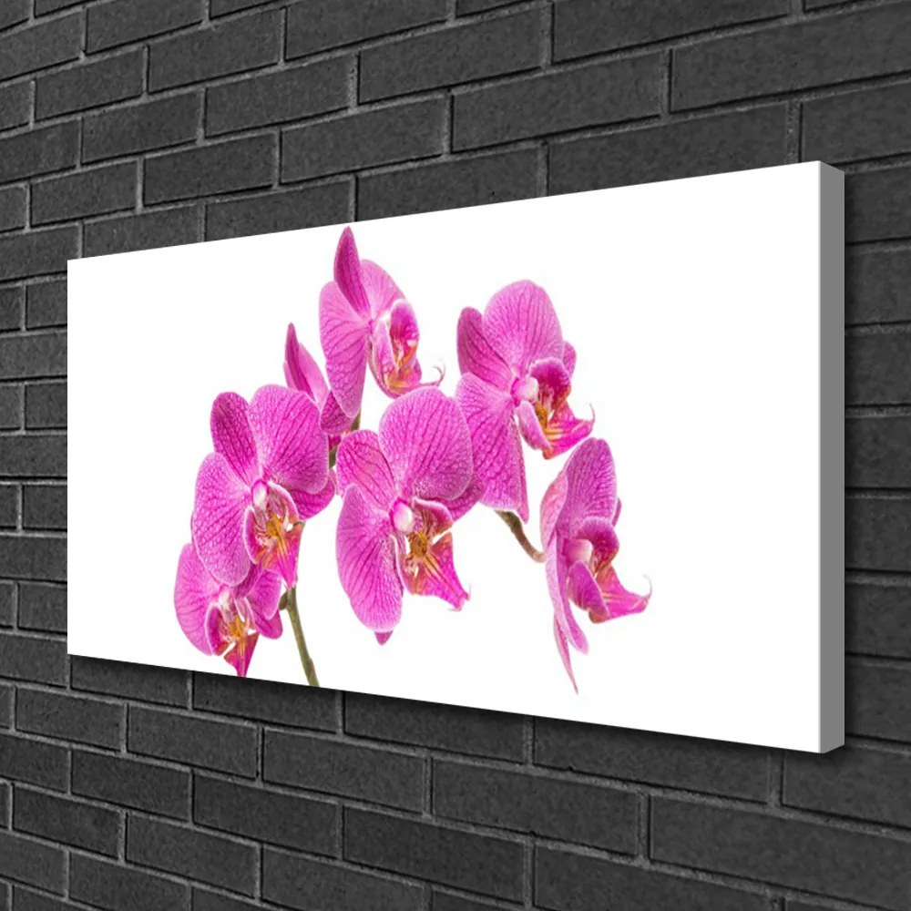 Obraz na plátně Orchidej Květiny Příroda 140x70 cm