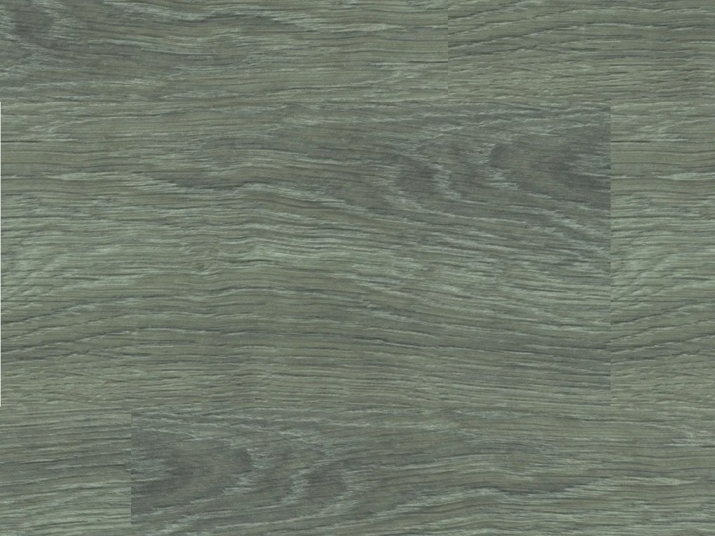 Forbo Allura Flex Grey Giant Oak 60280 - lepená vinyloví podlaha