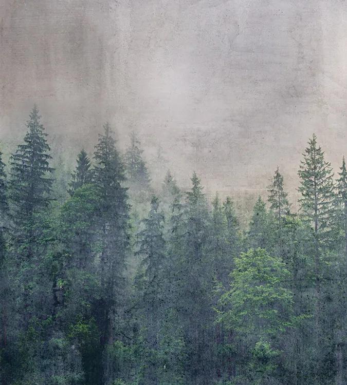 DIMEX | Vliesová fototapeta na zeď Abstrakt les MS-3-0353 | 225 x 250 cm | zelená, béžová