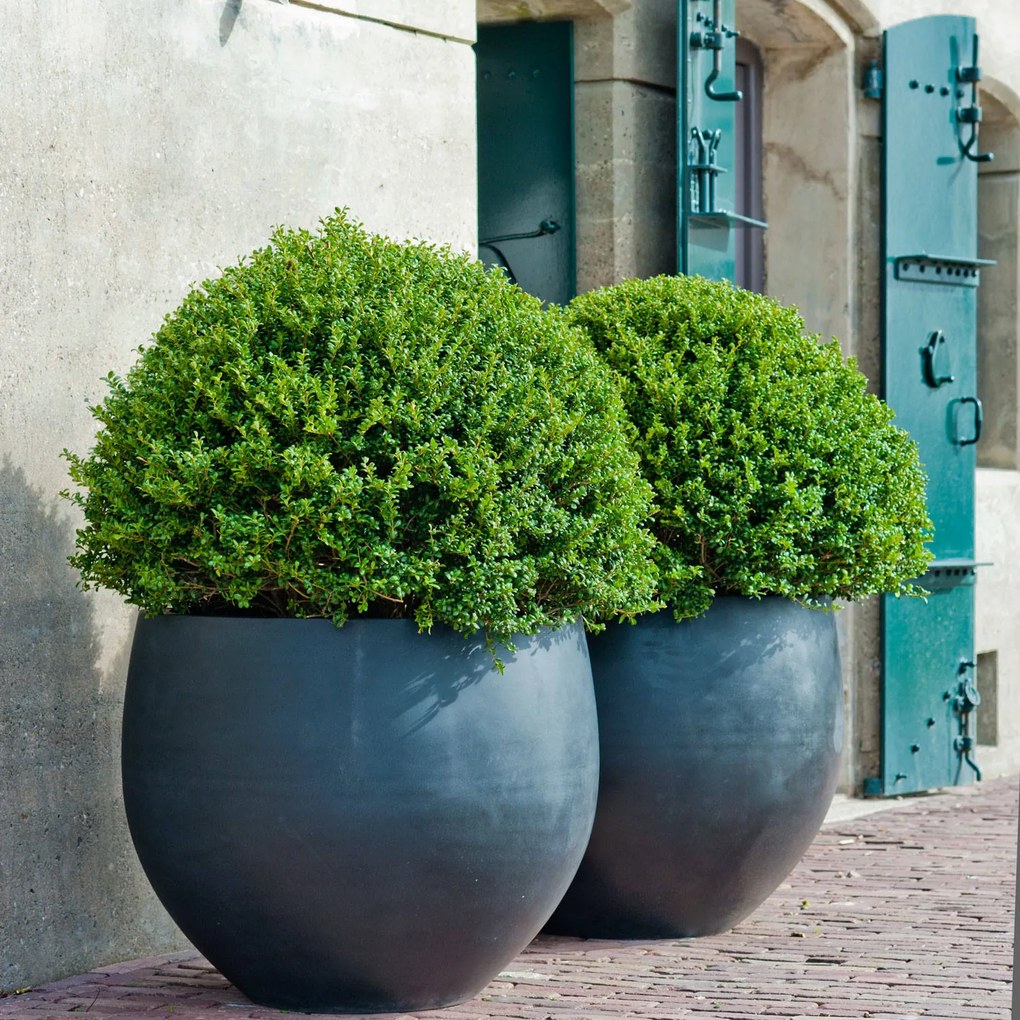 Květináč Jumbo Orb, barva šedá, více velikostí - PotteryPots Velikost: M - v. 93 cm, ⌀ 110 cm