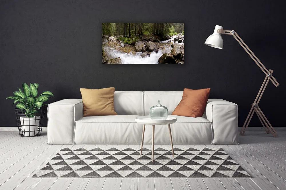 Obraz na plátně Les Řeka Vodopády 140x70 cm