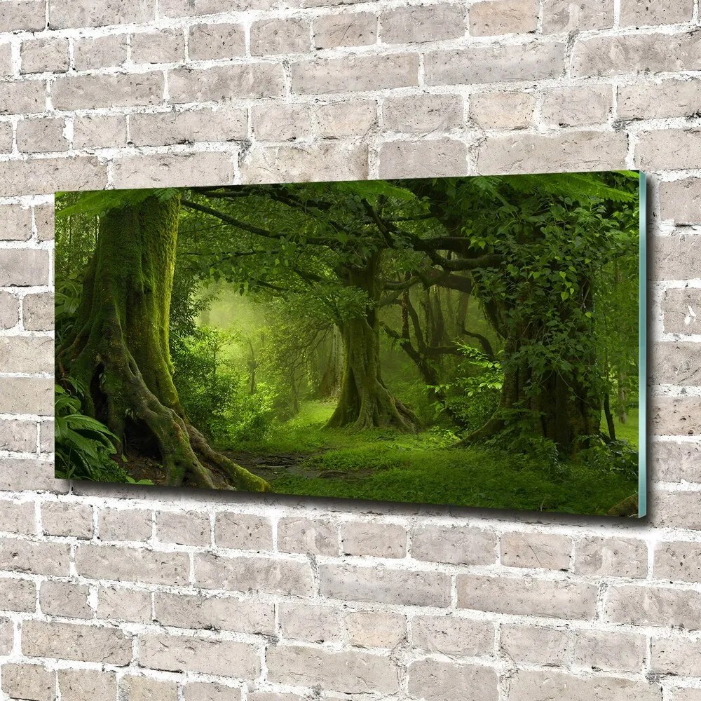 Wallmuralia Fotoobraz na skle Tropická džungle 140x70 cm