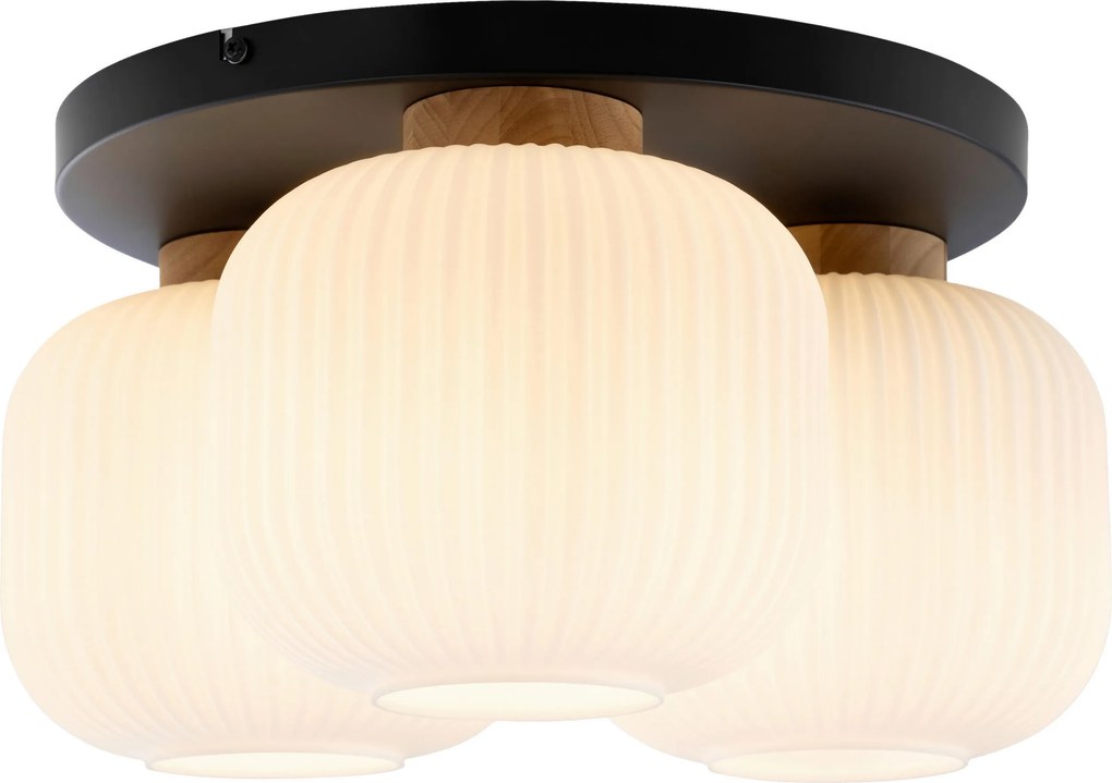 XXXLutz STROPNÍ SVÍTIDLO, 45.5/22 cm Collett's Monde - Online Only svítidla - 004707017705
