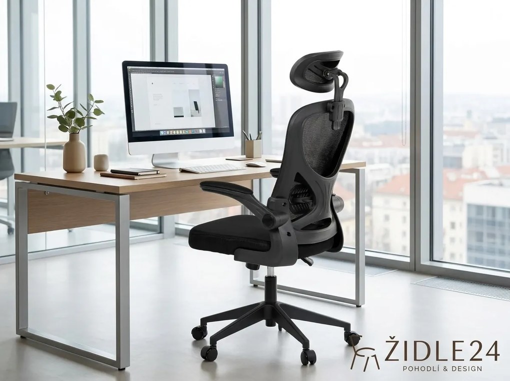 Ergonomická kancelářská židle ALEXANDRE - černá síťovina