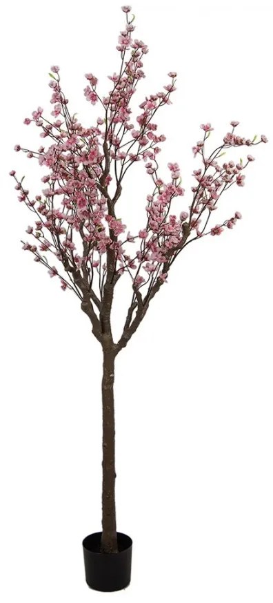 Dekorace umělý strom třešeň s růžovými květy Cherry Blossom - 45*45*185 cm