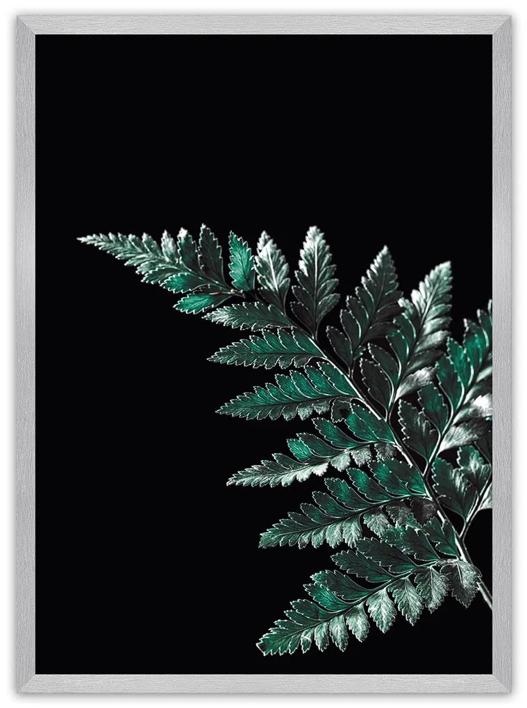 Plakát Dark Fern Leaf