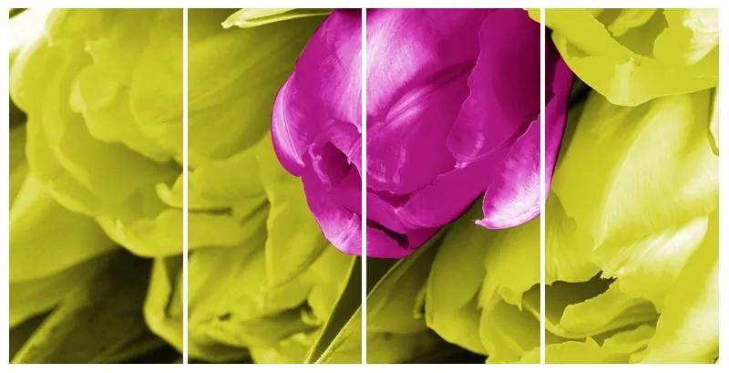 Obraz růžového květu na zeleném pozadí  (160x80 cm), 40 dalších rozměrů