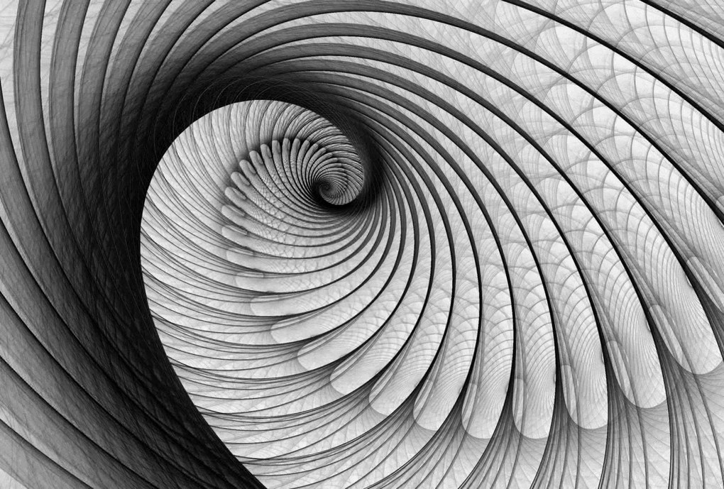 Fototapeta Grey Snail vlies 416 x 254 cm
