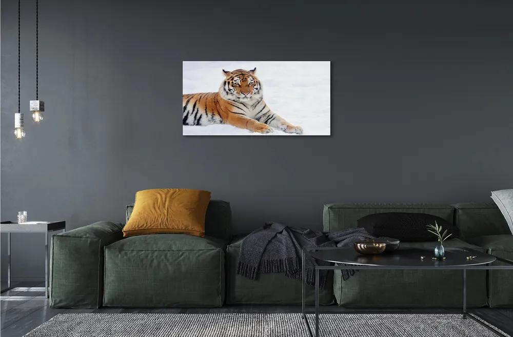 Obraz na skle Tiger winter 100x50 cm