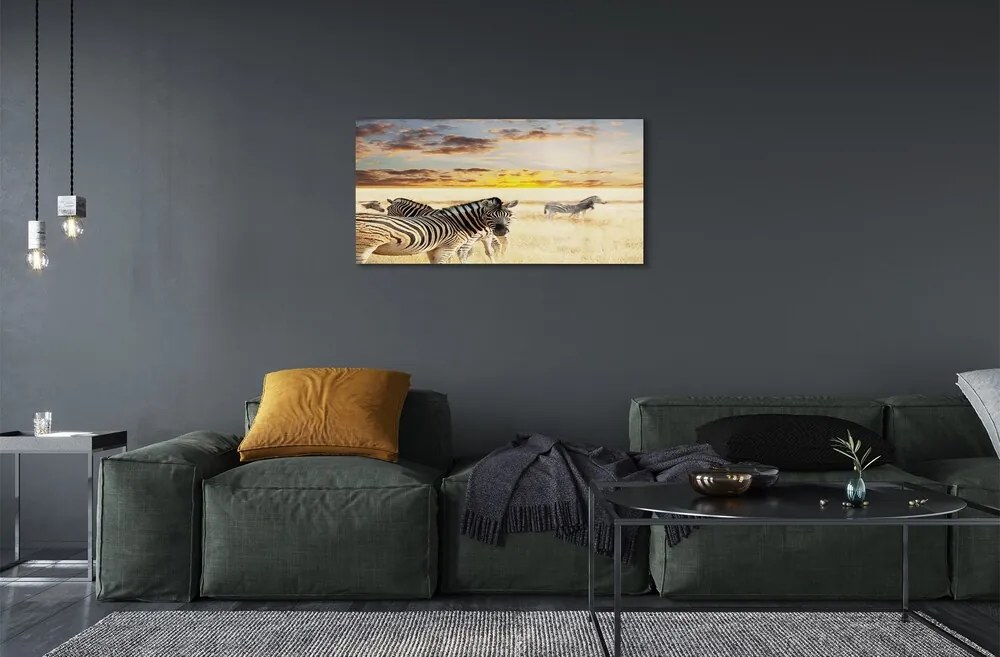 Obraz na skle Zebry pole sunset 120x60 cm