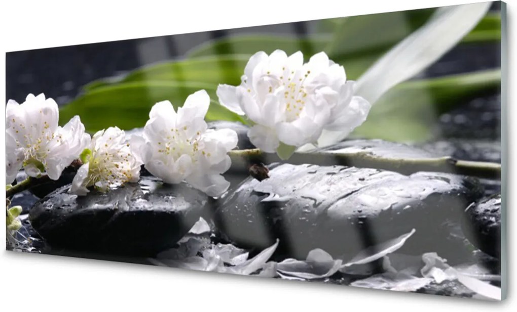 Obraz na skle Skleněný Květ Kameny