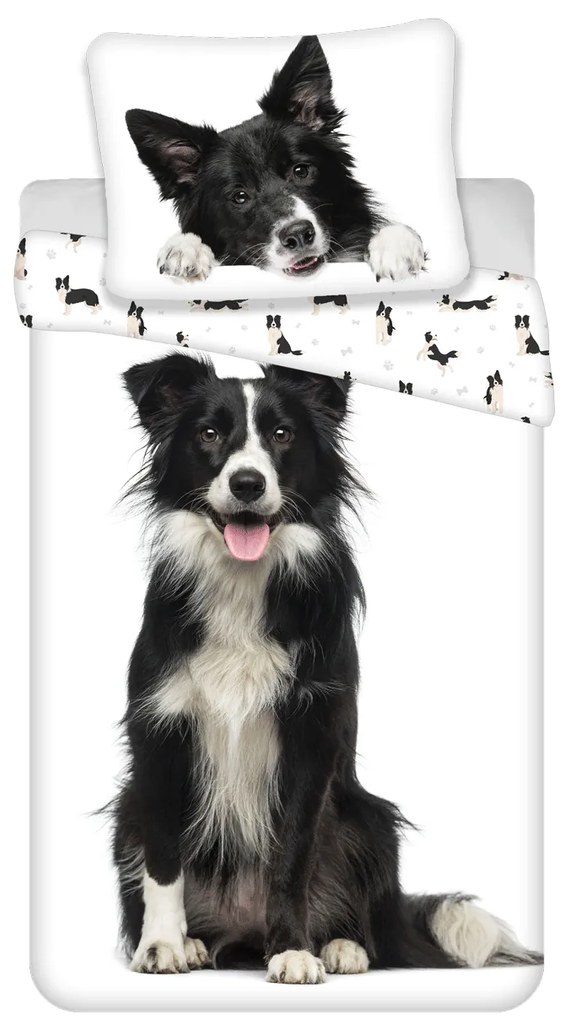 3D Bavlněné povlečení BORDER COLLIE bílé, 100% bavlna Rozměr povlečení: 70 x 90 cm | 140 x 200 cm