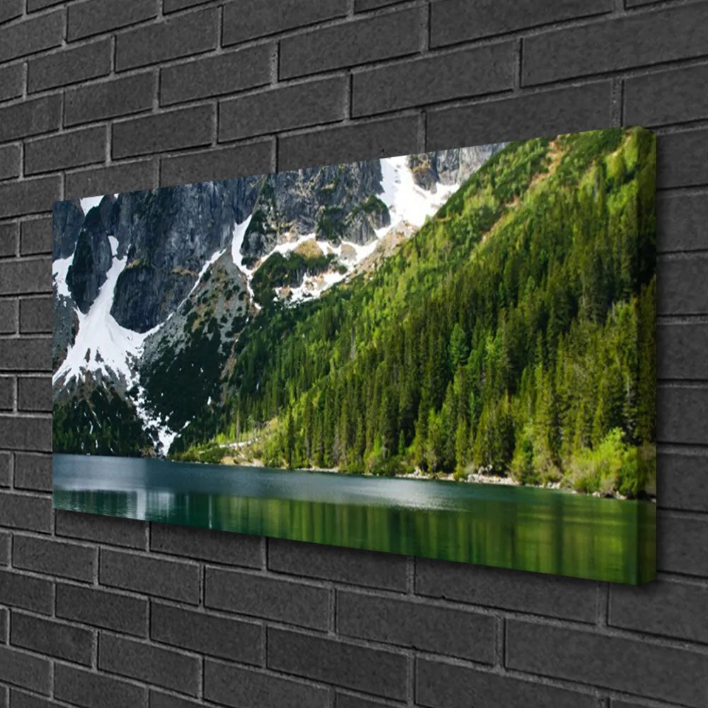 Obraz na plátně Jezero Les Hory Krajina 120x60 cm