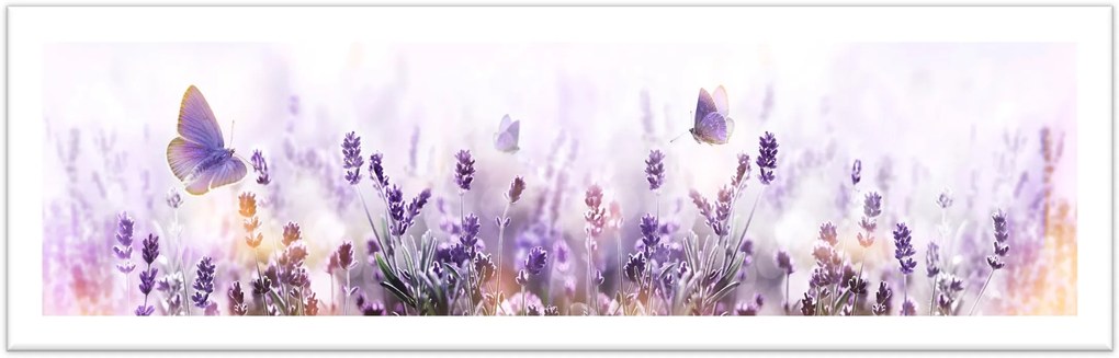 Bondecor Obraz v rámu "Butterfly-lavender" 50x20cm Barva: Bílý rám