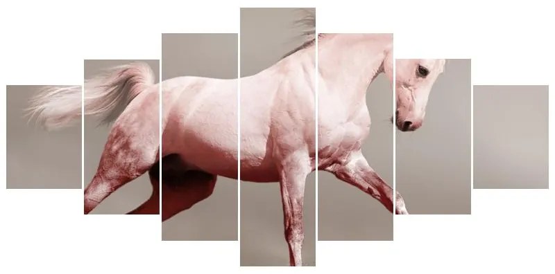 Obraz bílého koně v pohybu  (210x100 cm), 40 dalších rozměrů