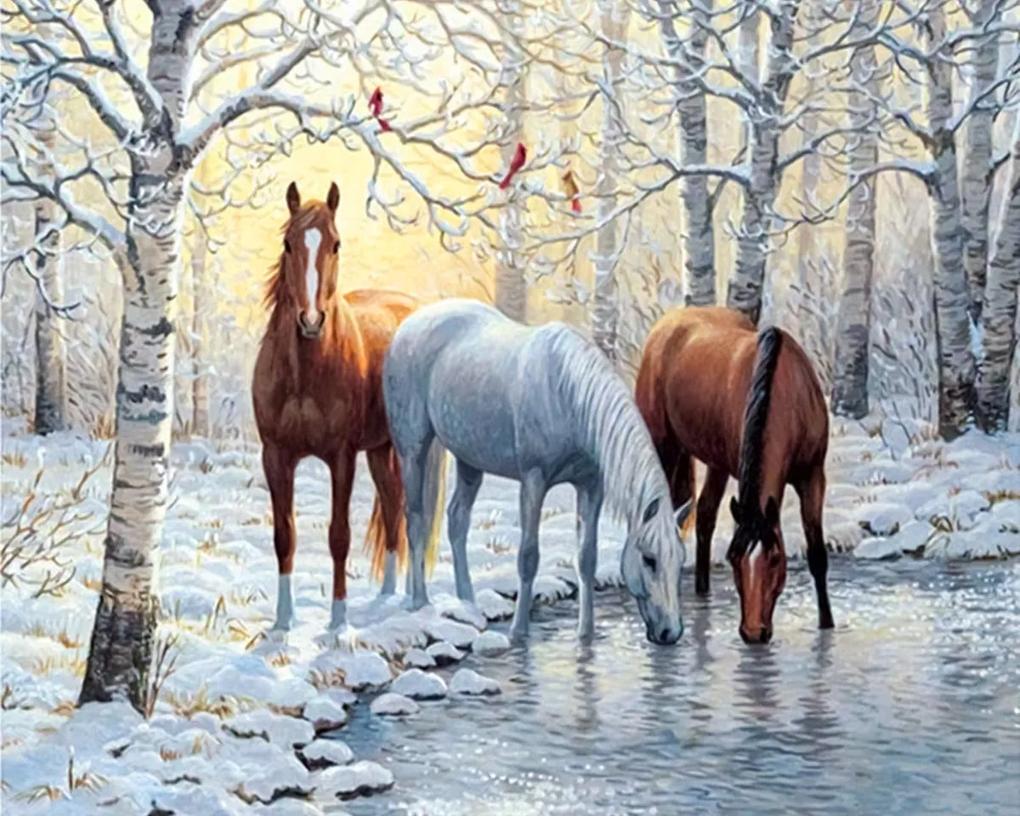Weltbild Diamantové malování Koně u vody