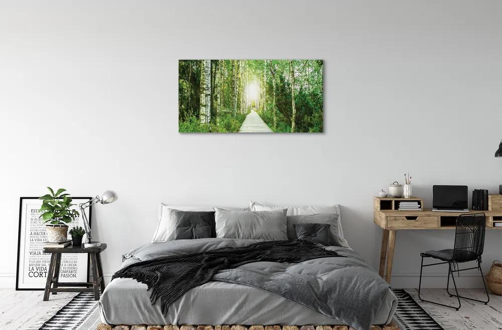 Obrazy na plátně Bříza lesní cesta 125x50 cm