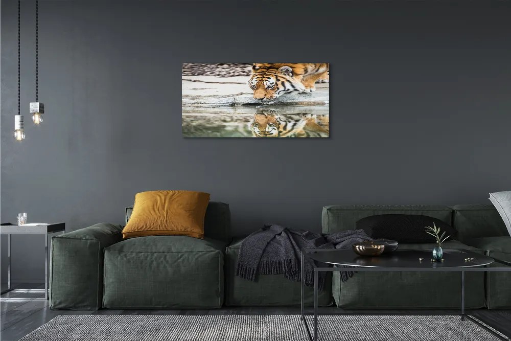 Obrazy na plátně tiger pití 120x60 cm