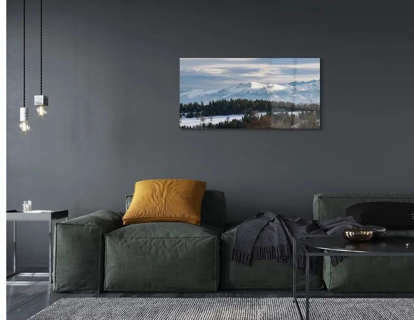 Obraz na skle horské zimní 120x60 cm