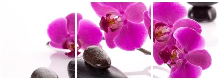 Obraz fialových květů s kameny (90x30 cm), 40 dalších rozměrů