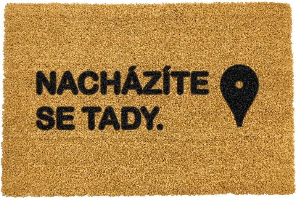 Rohožka z přírodního kokosového vlákna Artsy Doormats Tady, 40 x 60 cm