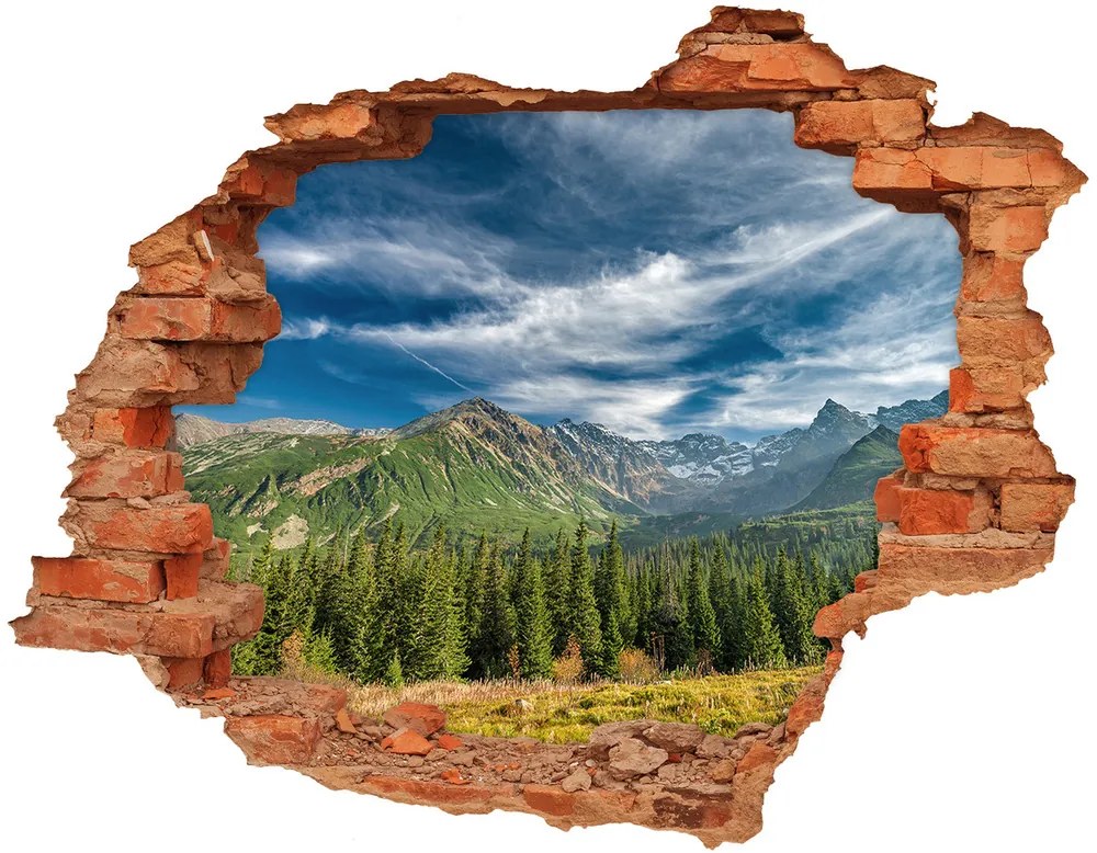 Wallmuralia Díra 3D ve zdi nálepka Podzim v Tatrách 90x70 cm