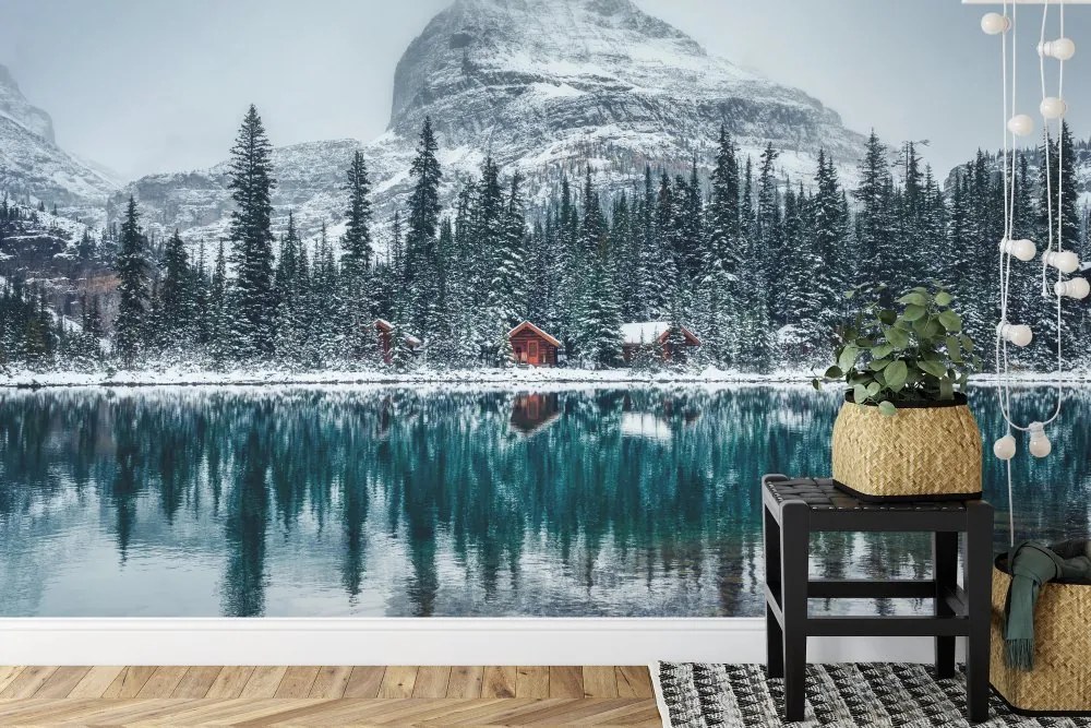 Fototapeta Lake O&amp;#039;hara V Kanadě Hladký vinyl 104x70.5