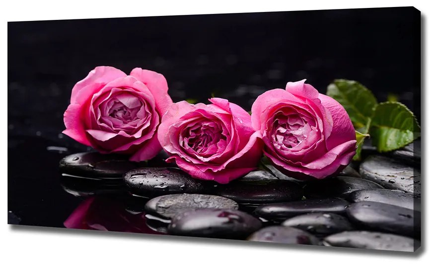 Wallmuralia Foto obraz na plátně do obýváku Růžové růže 120x60 cm