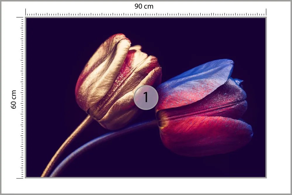 Fototapeta Tulipány Se Zlatými Prvky Samolepící tapety 368x254