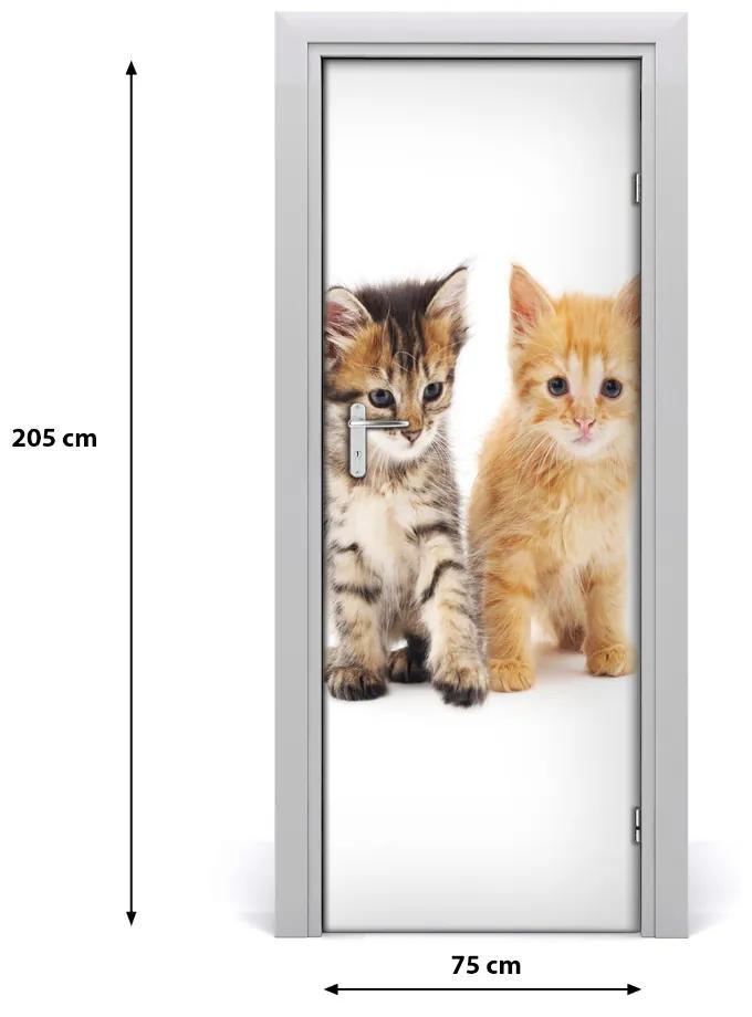 Samolepící fototapeta na dveře Šedá a rudá kočka 75x205 cm