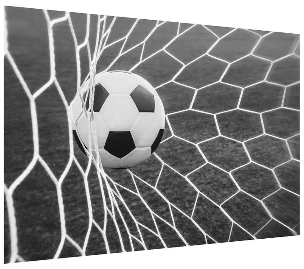 Fotbalový míč v síti (100x70 cm)