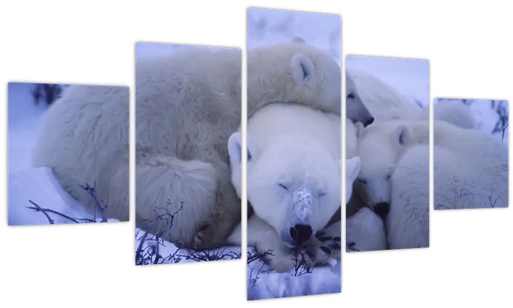 Obraz - Lední medvídci (125x70 cm)