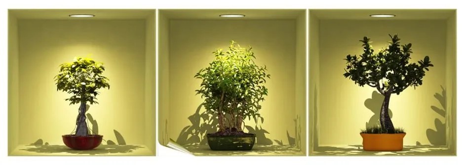 Sada 3 samolepek s 3D efektem Ambiance Bonsai Trees On Spot