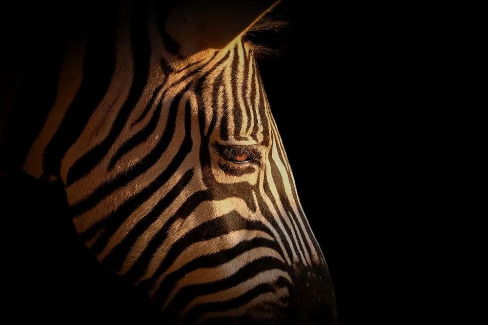 Samolepící fototapeta portrét zebry - 150x100 cm