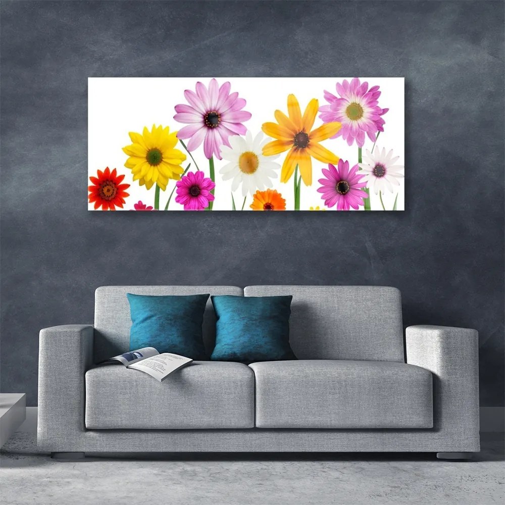 Plexisklo-obraz Barevné Květiny Příroda 125x50 cm