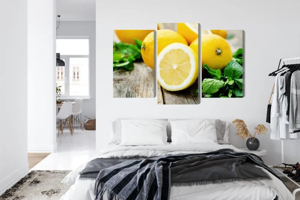 Vícedílný obraz Citron S Mátou Nedostatek Nedostatek Plátno Canvas 60x40