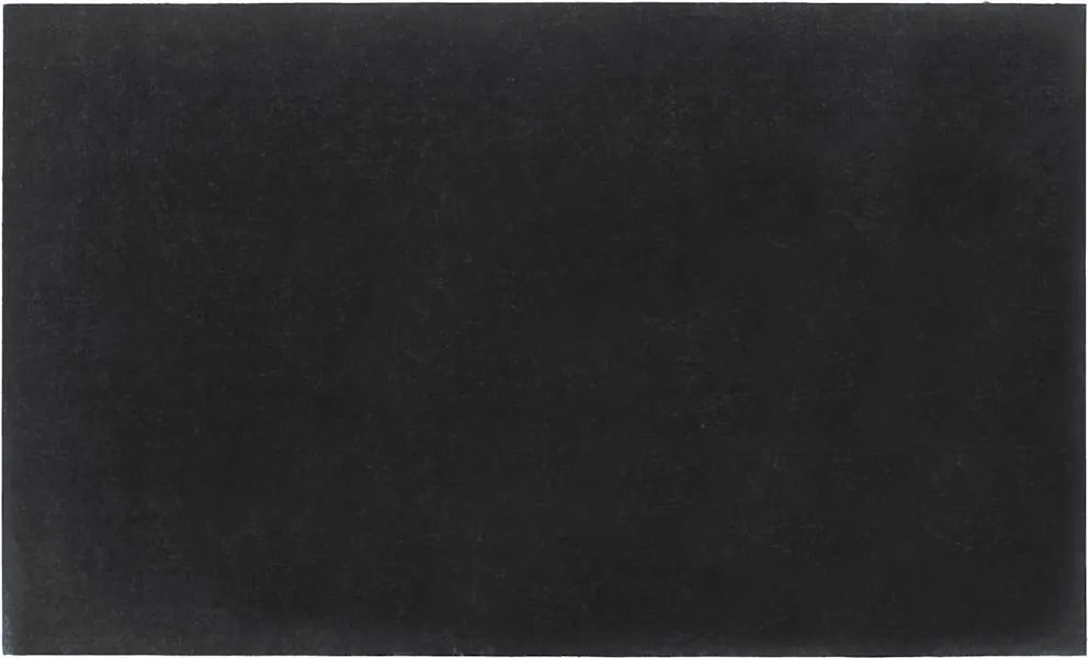 Rohožka před dveře přírodní 90 x 150 cm kokosové vlákno 155606