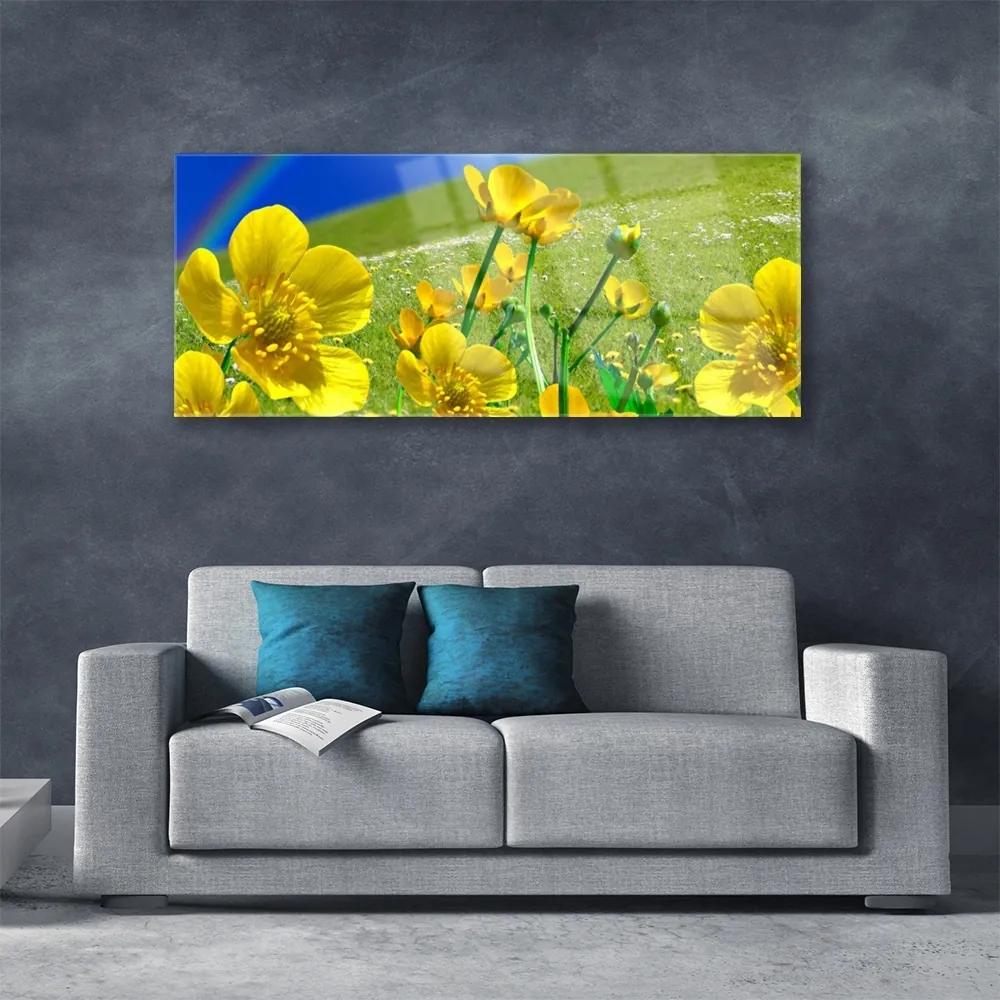 akrylový obraz Louka Květiny Duha Příroda 125x50 cm