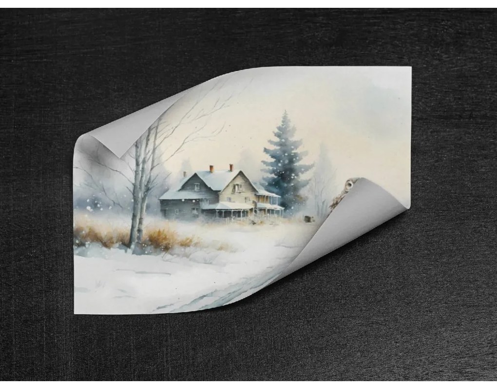 Plakát - Sova na poštovní schránce, venkov v zimě, akvarel FeelHappy.cz Velikost plakátu: A2 (42 x 59,7 cm)