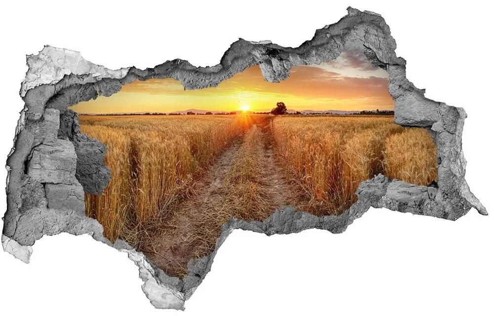 Wallmuralia Nálepka fototapeta 3D výhled Pole pšenice 95x73 cm
