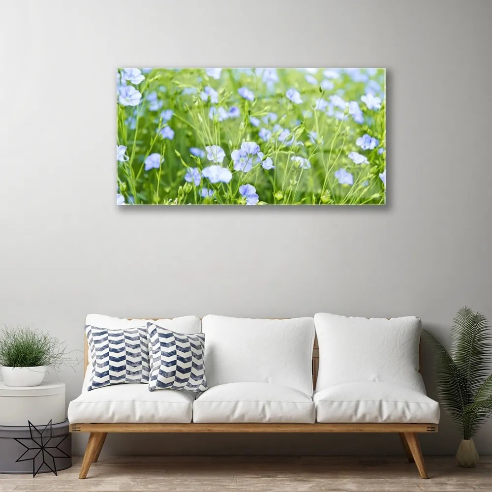 Obraz na skle Květiny Tráva Rostlina Příroda 100x50 cm